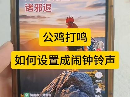 公鸡打鸣起床闹钟mp3截图
