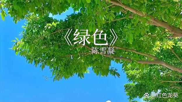 绿色歌曲原唱完整版图标