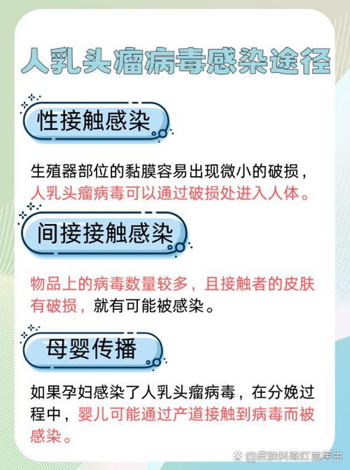 高危病毒图标