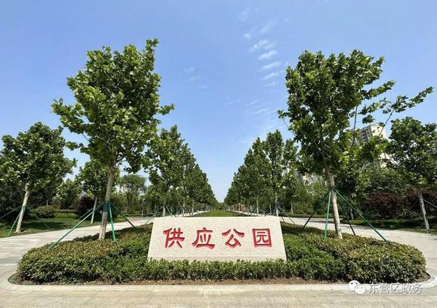 花特殊符号怎么打出来图标
