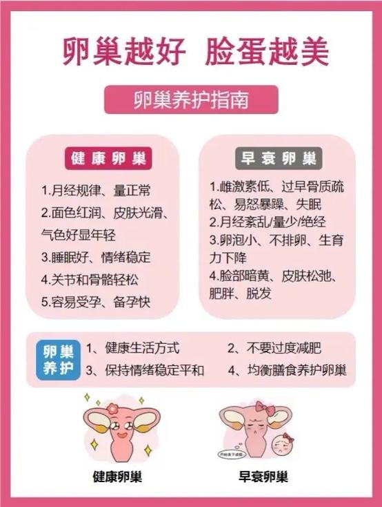 女生取完卵要注意什么图标