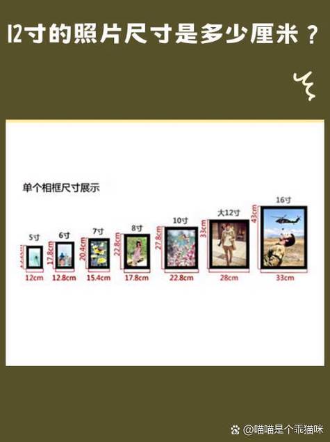 二寸照片尺寸图标