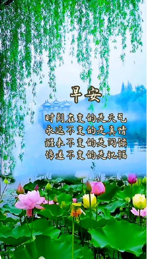 简短的祝福语大全截图
