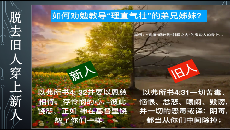 主日讲道:活出新生命图标