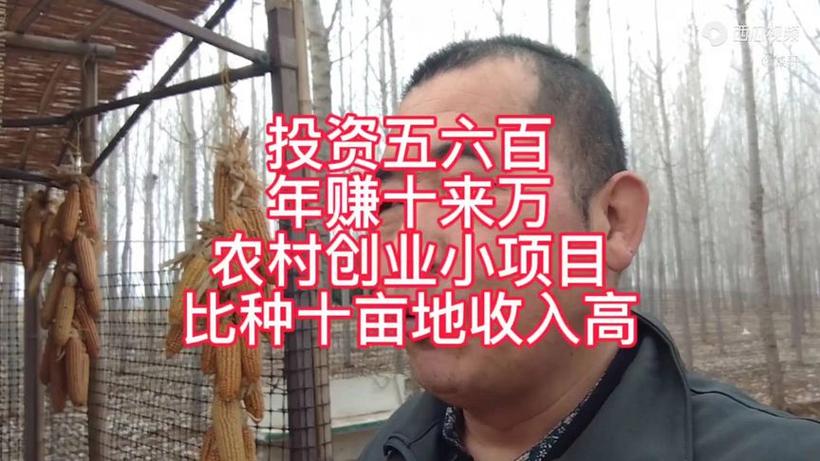 适合投资小的创业项目图标