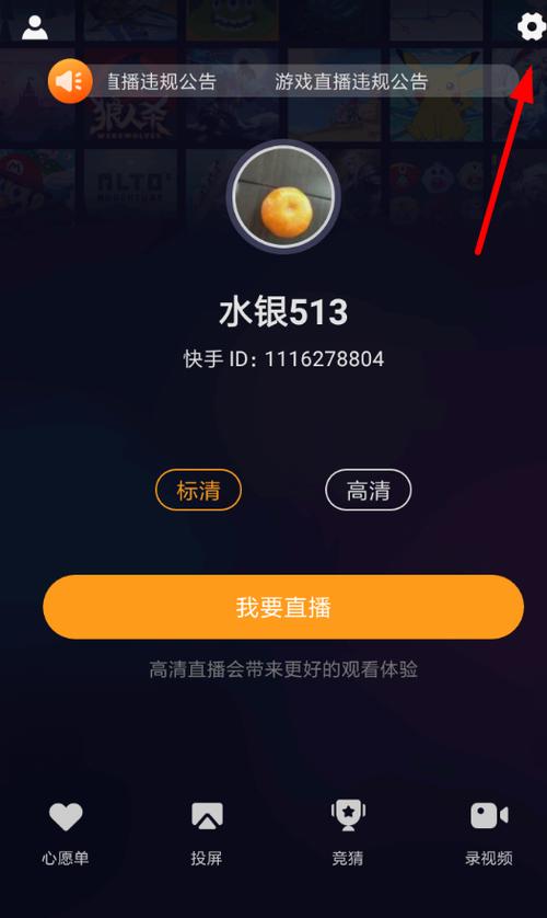 苹果手机快手伴侣悬浮窗截图