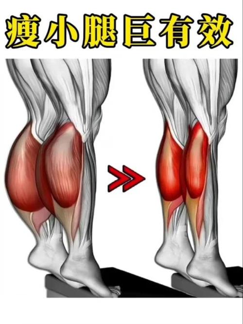 怎样练小腿肌肉能变粗壮图标