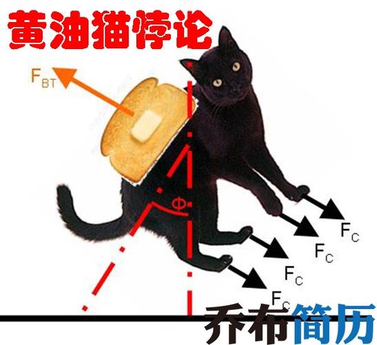 黄油猫实验截图