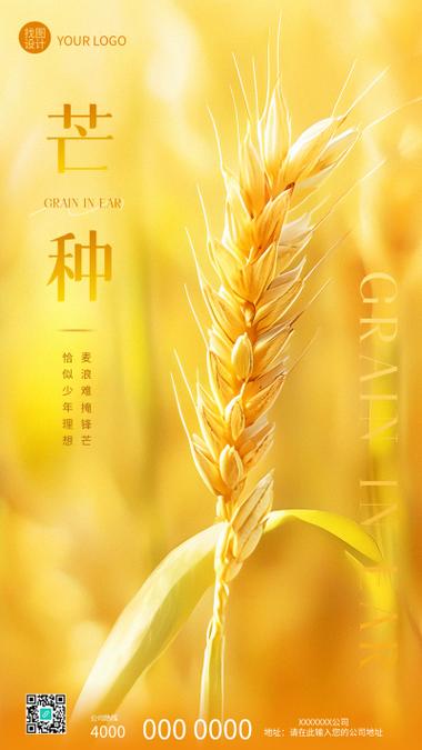 麦子广告图标