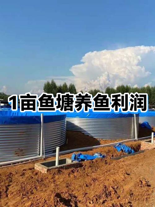 1亩鱼塘一年的利润图标