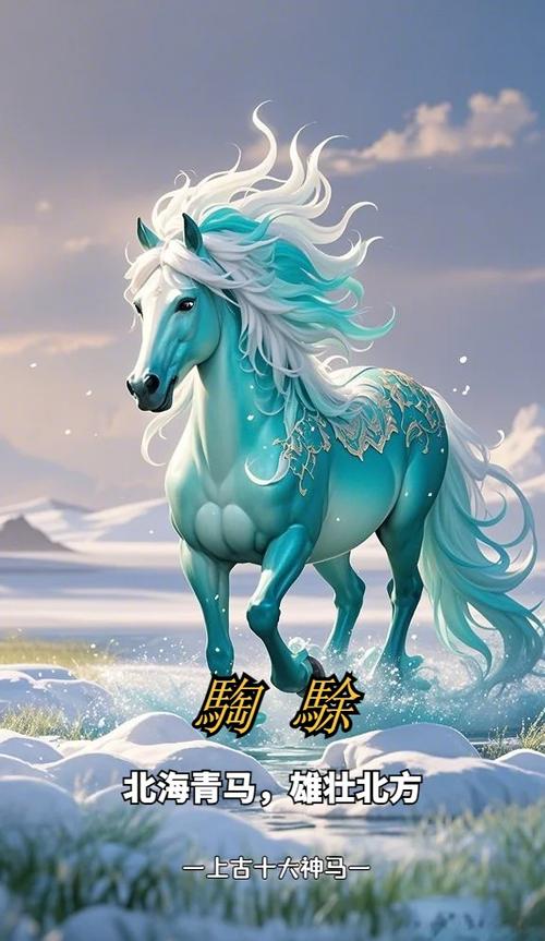 神马搜索官网图标