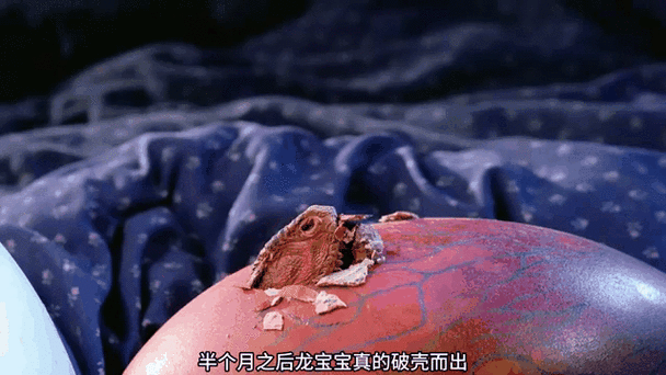 孵化龙蛋图标