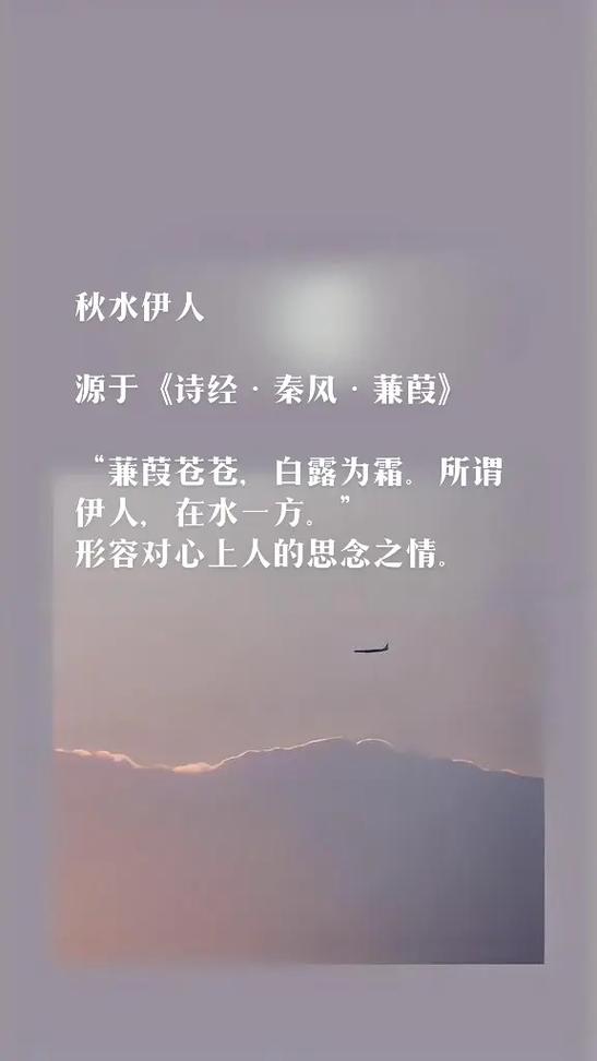 秋水讲的是什么故事截图