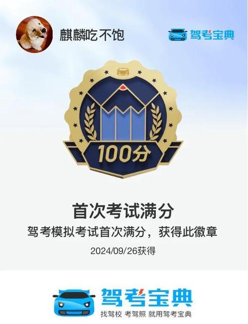 驾考宝典自动答题插件图标