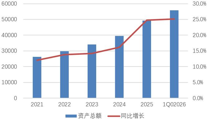 资产规模是什么意思图标