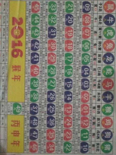 48图库大全免费资料图2023最新版本更