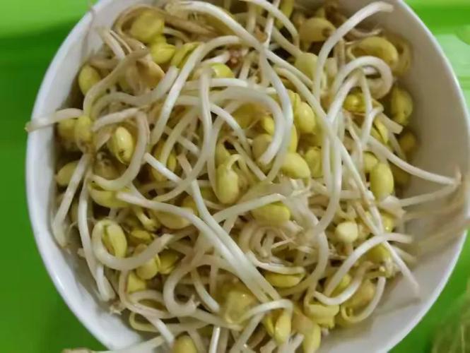 小金豆是黄豆吗