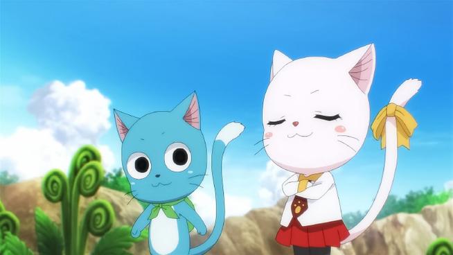 妖精猫动漫在线观看免费播放