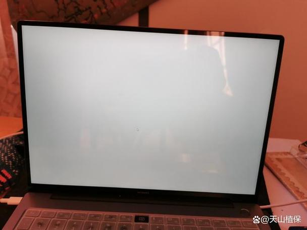 笔记本出现白屏截图