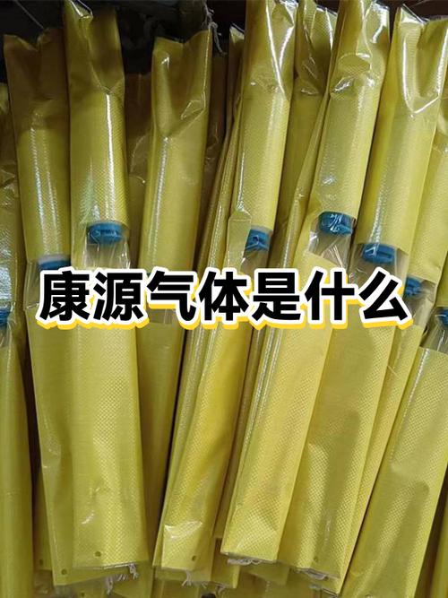 康源是什么意思截图