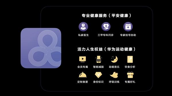 华为手表的健康监测功能图标