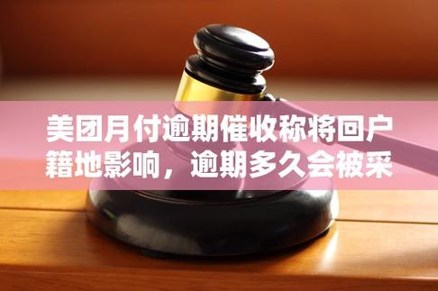 美团月付的逾期还款影响图标