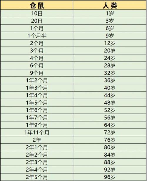 仓鼠2岁相当于人类几岁图标