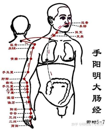 倪海厦针灸大成视频教学图标