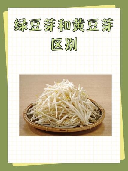 豆瓣和豆芽的区别图标