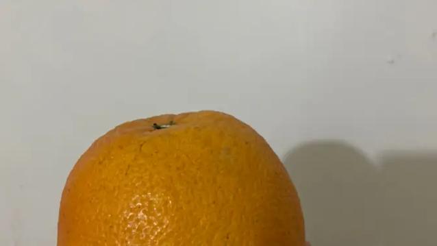 大橙子与小橙子区别图标