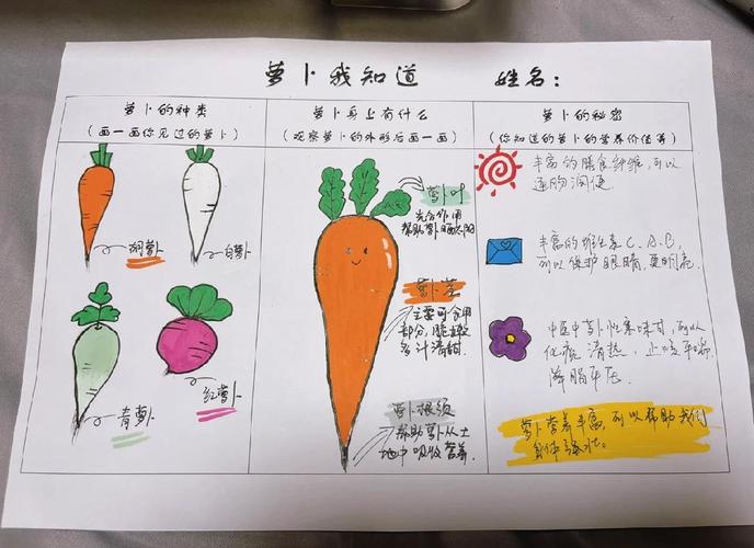 保卫萝卜3集市3关攻略图解法