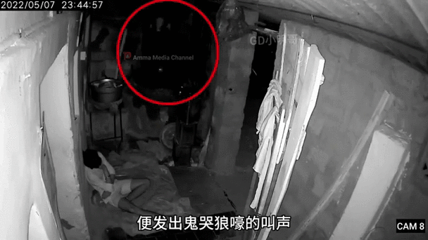 监控能看到阿飘吗图标