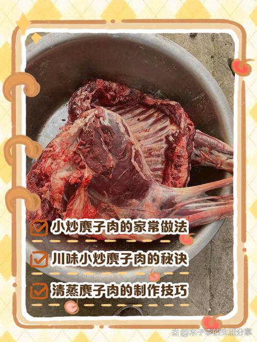 森林怎么储存熟肉