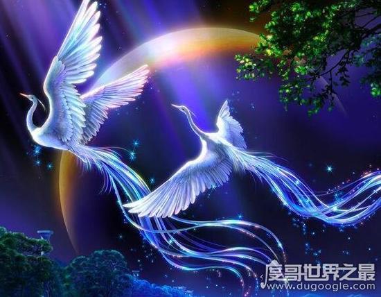 五凤之首是青鸾吗图标