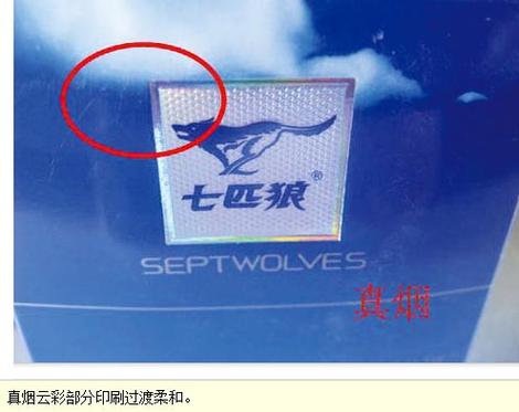 七匹狼真伪查询入口截图