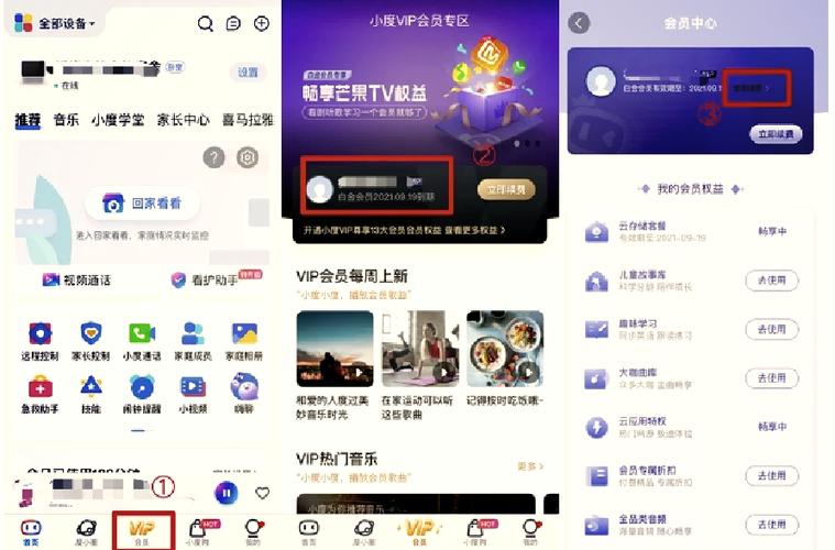 取消小度会员自动续费图标