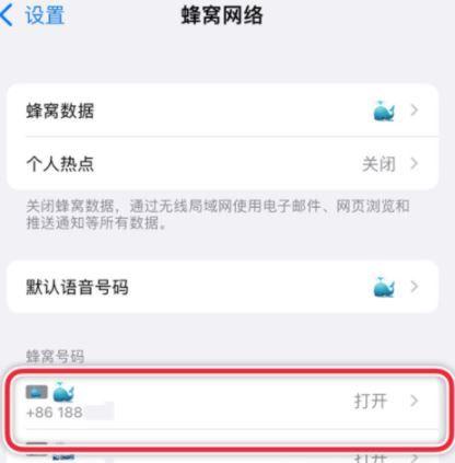 苹果手机如何用副卡打电话图标