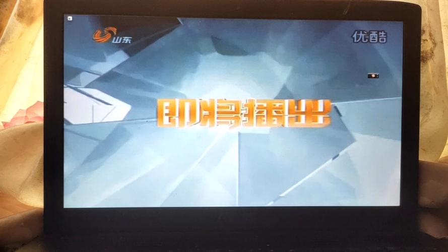 山东卫视节目回放视频图标