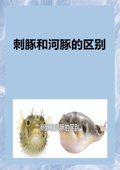 刺豚和河豚的区别图标