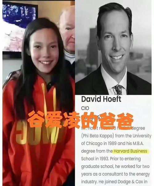 谷爱凌父亲的简历图标