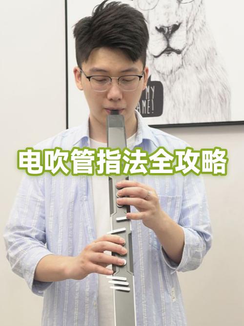 初学电吹管买哪款好截图