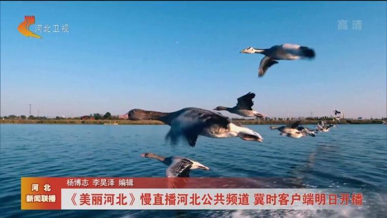 河北广播电视台冀时客户端直播图标