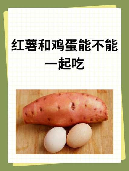 红薯可以和大薯一起吃吗图标
