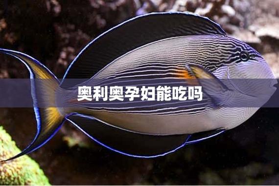 龙利鱼孕妇可以吃吗截图