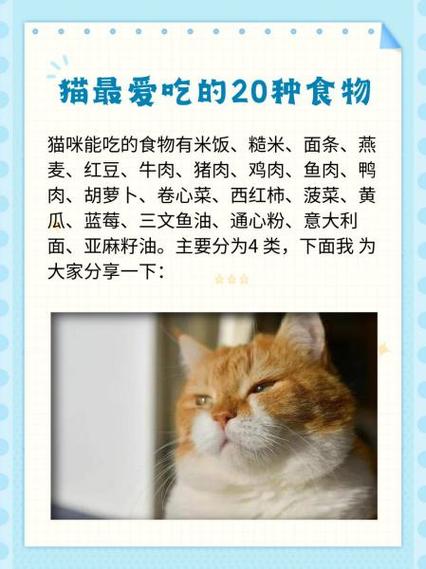 猫咪常吃的食物有哪些图标
