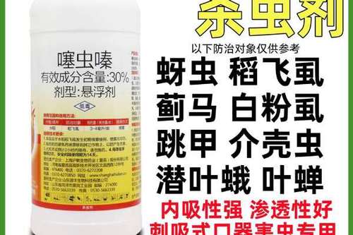 象甲虫用什么药最好?截图