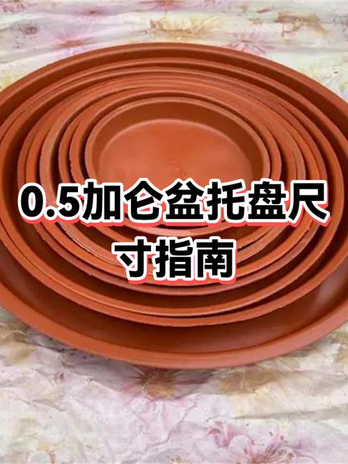 托盘一般比盆底大多少截图
