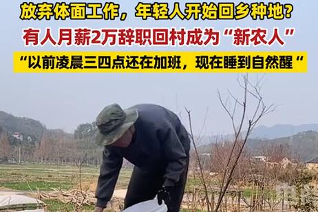 大学生回村种菜的小说截图