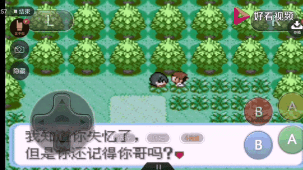 口袋妖怪蛇纹木一周目剧情图标