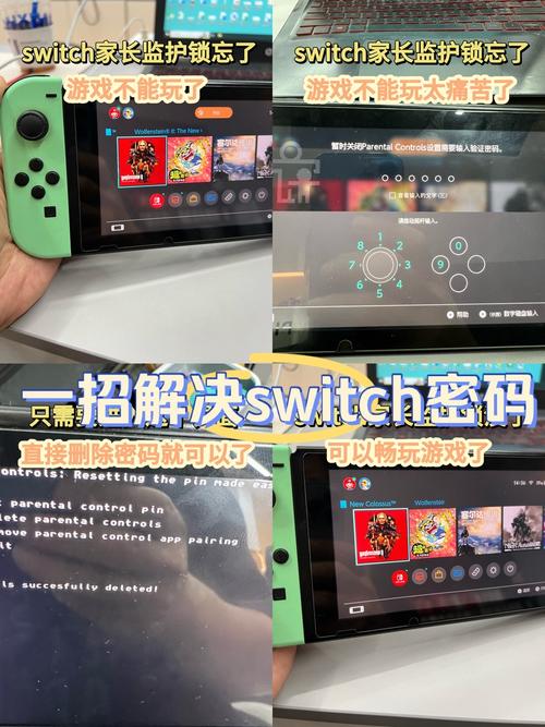 switch破解怎么查看照片